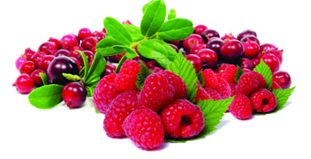 Cran Raspberry Flavor Concentrate - FroCup