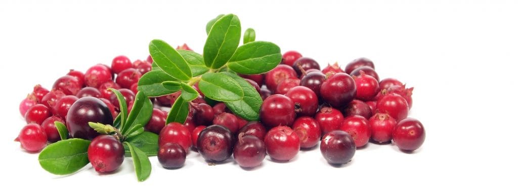 Cranberry Flavor Concentrate – FroCup