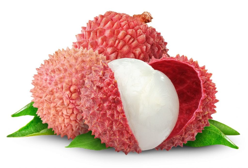 Lychee Flavor Concentrate – FroCup
